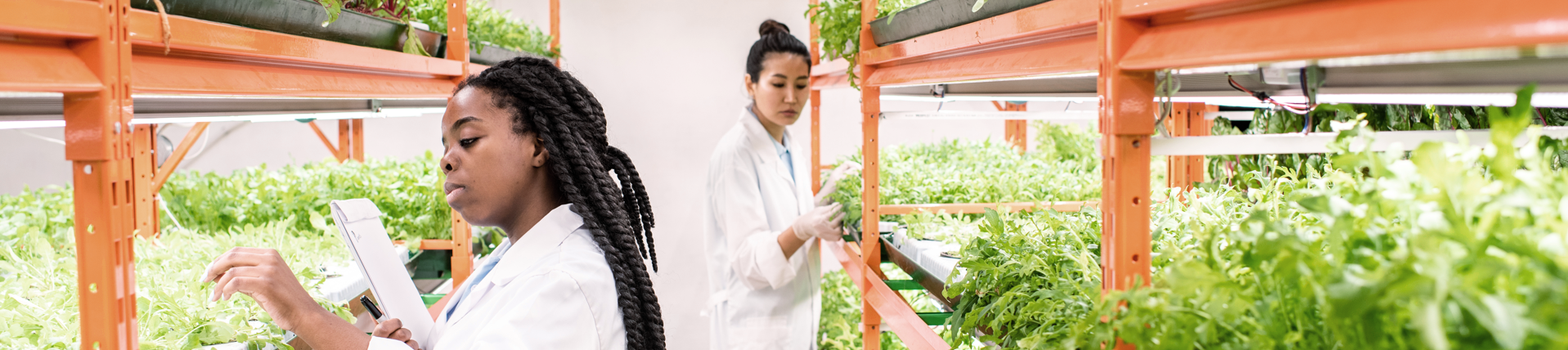 Integration og Job / Integration og Job